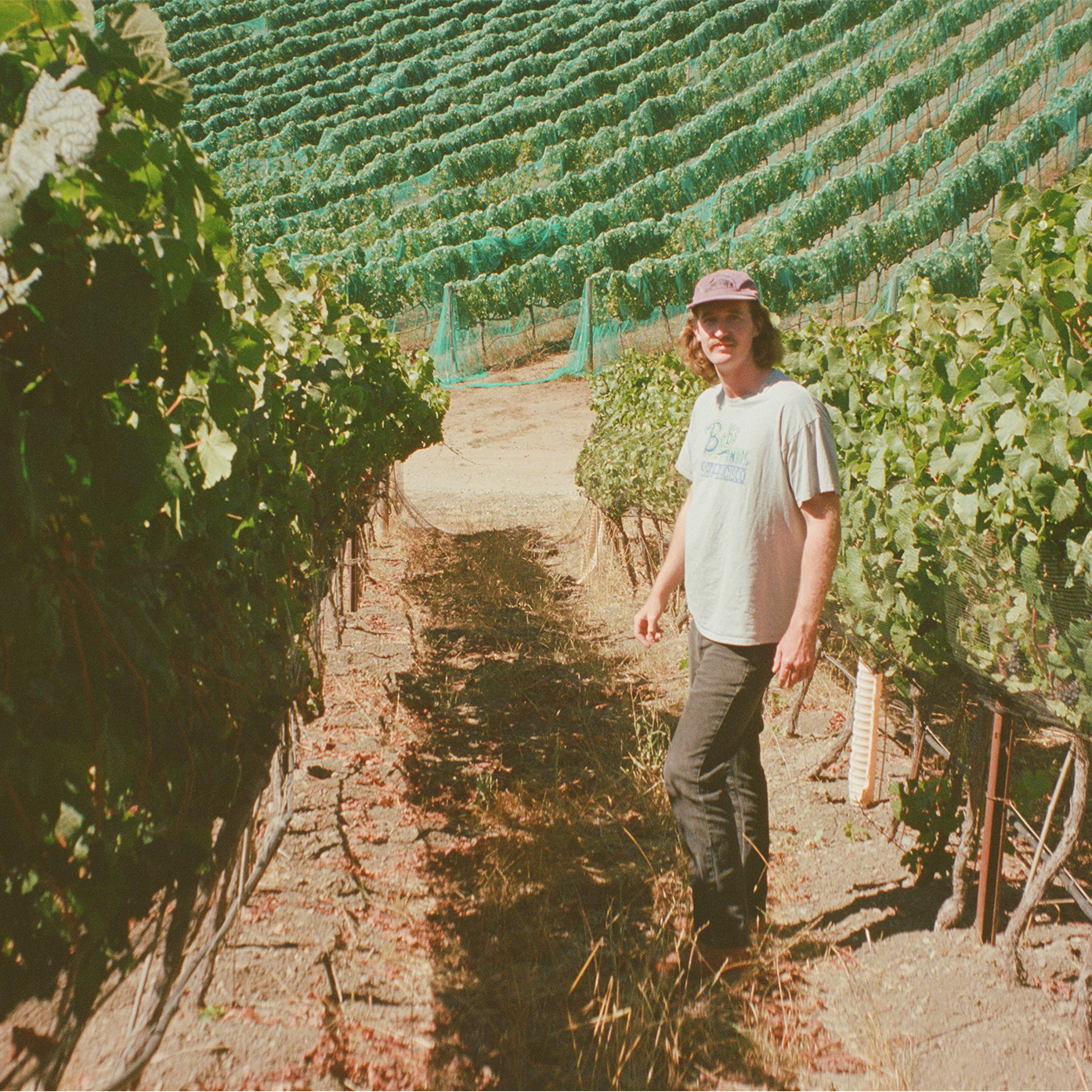 Q&A with Ryan Alfaro of Farm Cottage Wines – Revel Wine