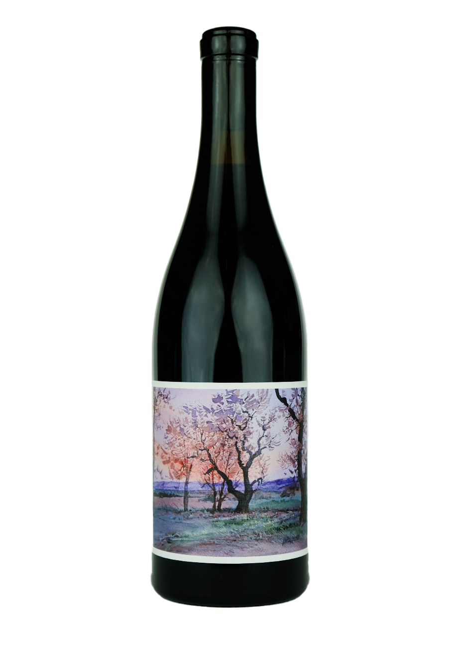 Johan Vineyards 2019 Pinot Noir 'Nils' – Revel Wine